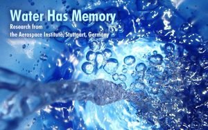 Water has Memory: Research from Aerospace Institute, Stuttgart, Germany ...