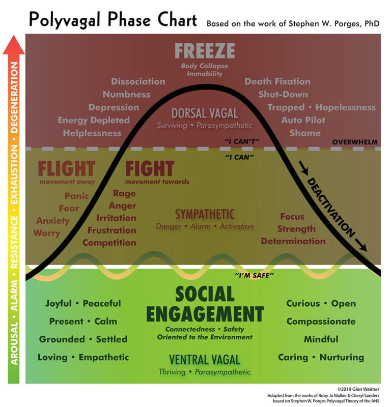 polyvagal-Wave_chart_01vb - Glen Weimer Holodynamic Bodywork